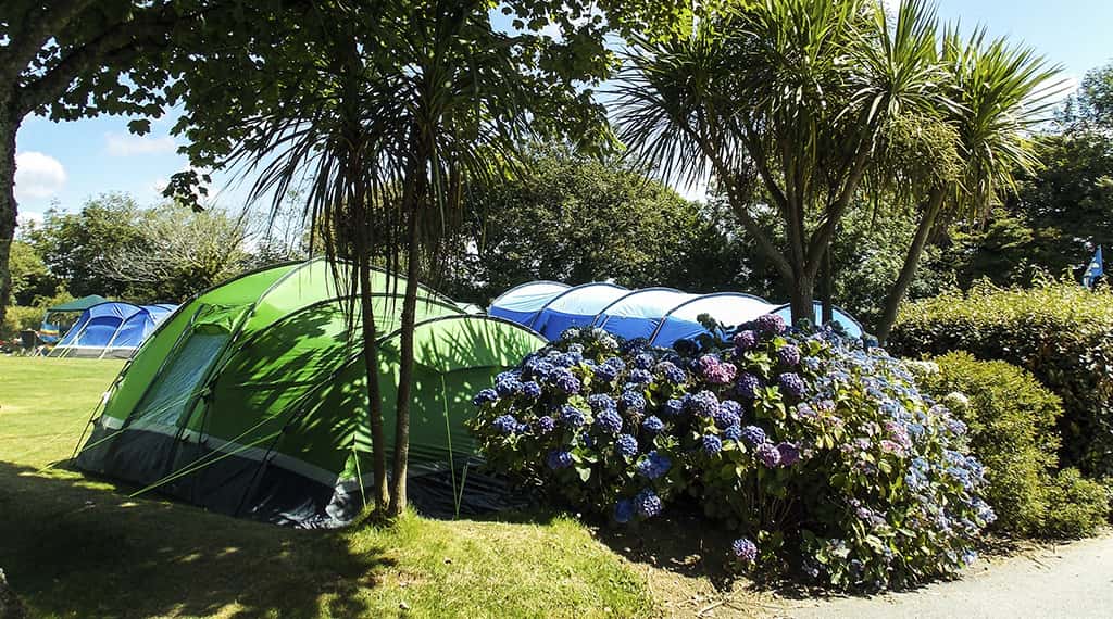 Cornwall Campsite | Cornwall Camping | Hendra Holiday Park