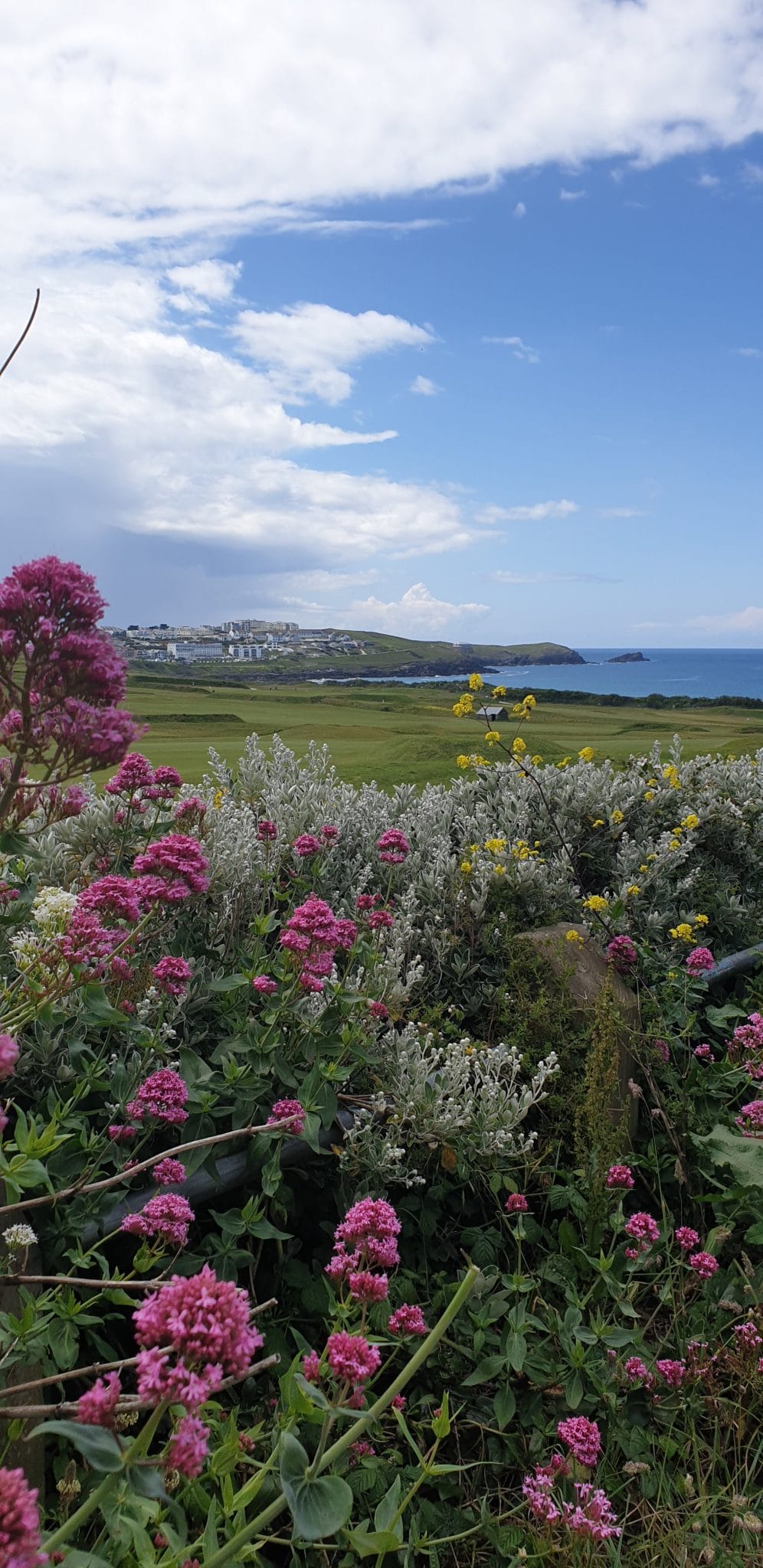 Free Things to do in Cornwall - Hendra Holiday Park