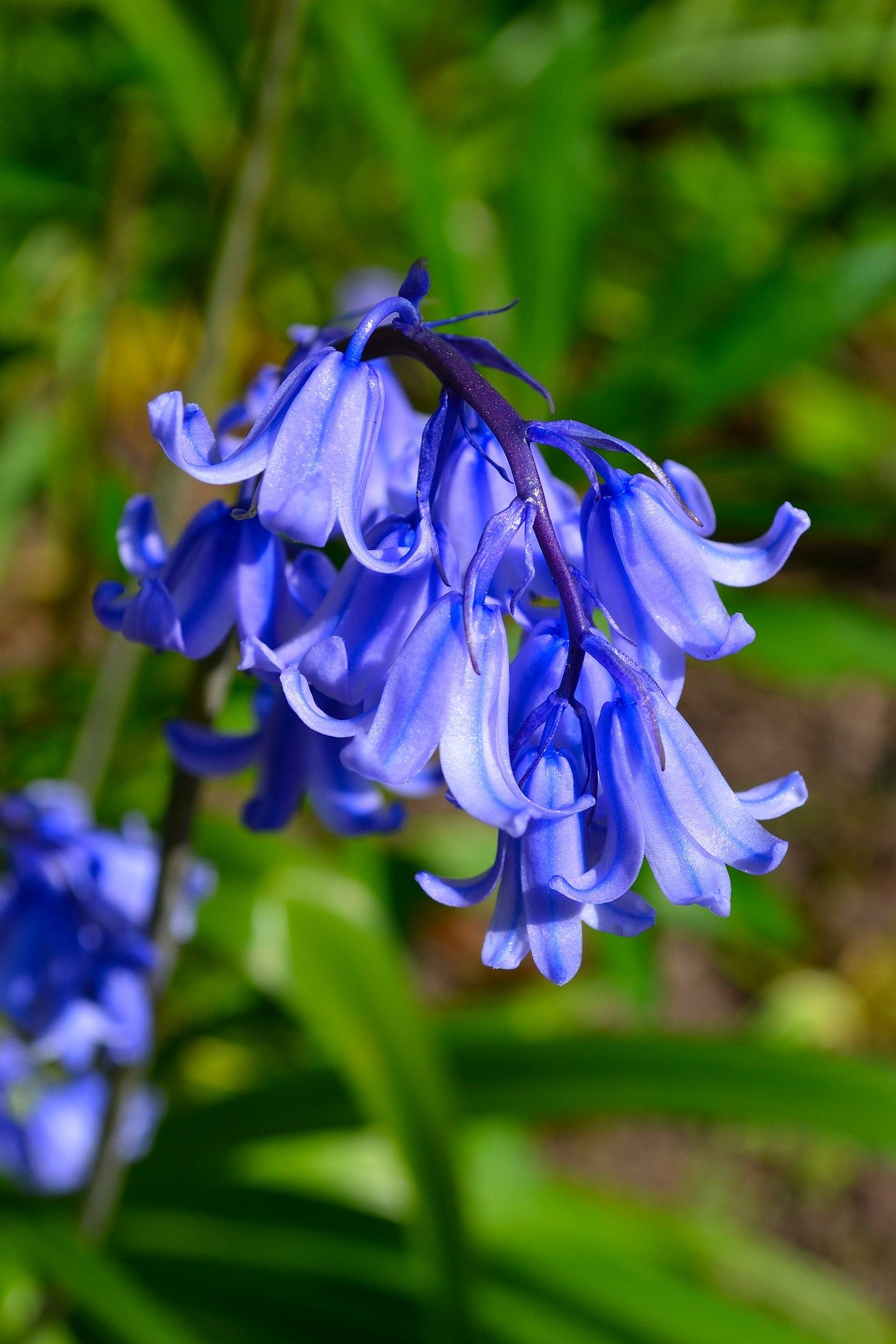 Top Ten Things to do in Cornwall this April - Hendra Holiday Park