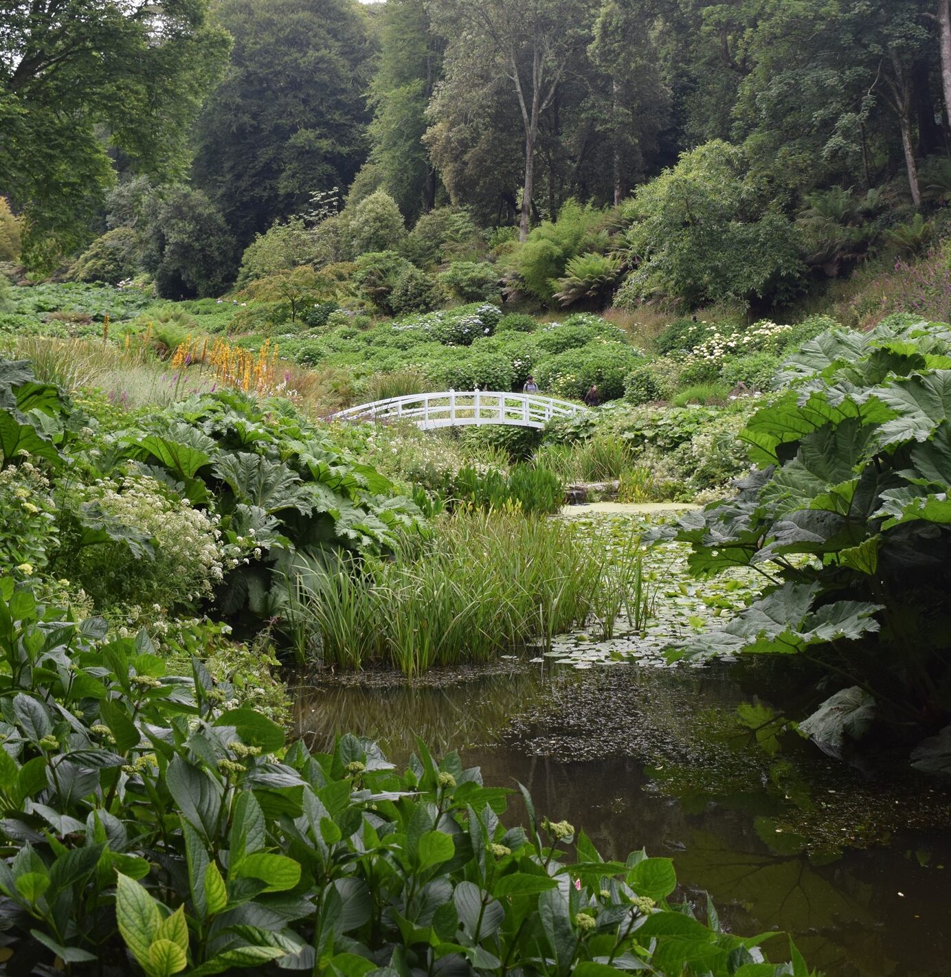 Top Gardens to Visit in Cornwall - Hendra Holiday Park