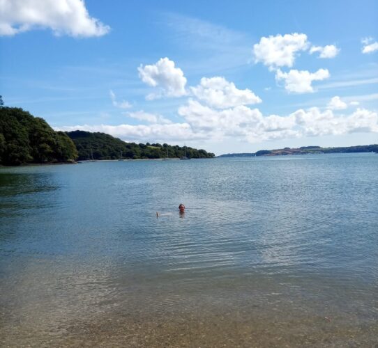 Top Gardens to Visit in Cornwall - Hendra Holiday Park