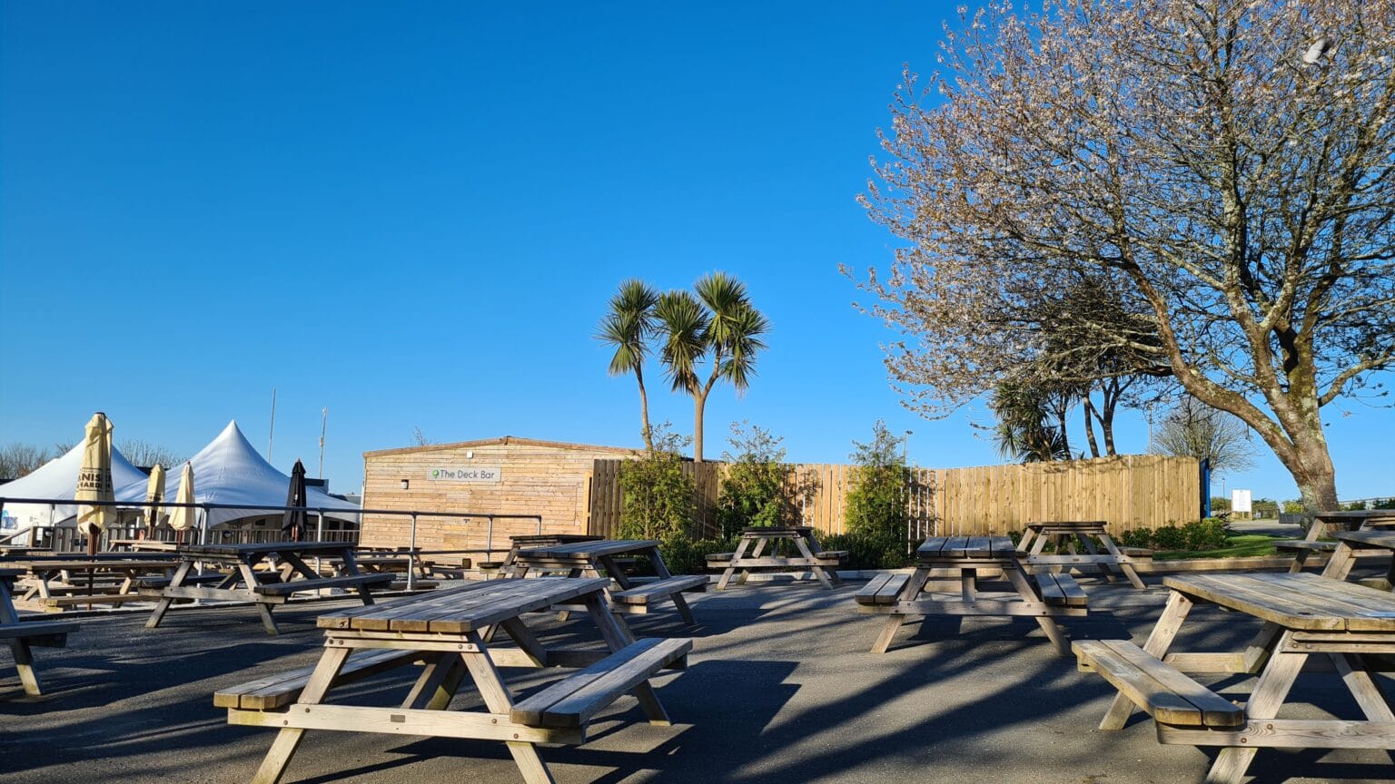 Things to Do in Newquay and Cornwall This Spring - Hendra Holiday Park