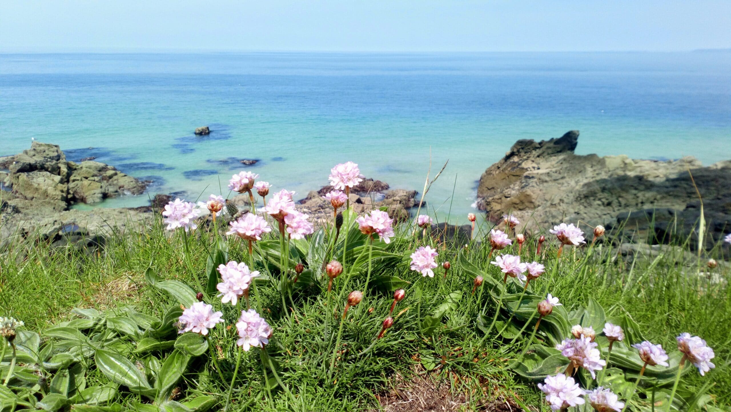 Things to Do in Newquay and Cornwall This Spring - Hendra Holiday Park