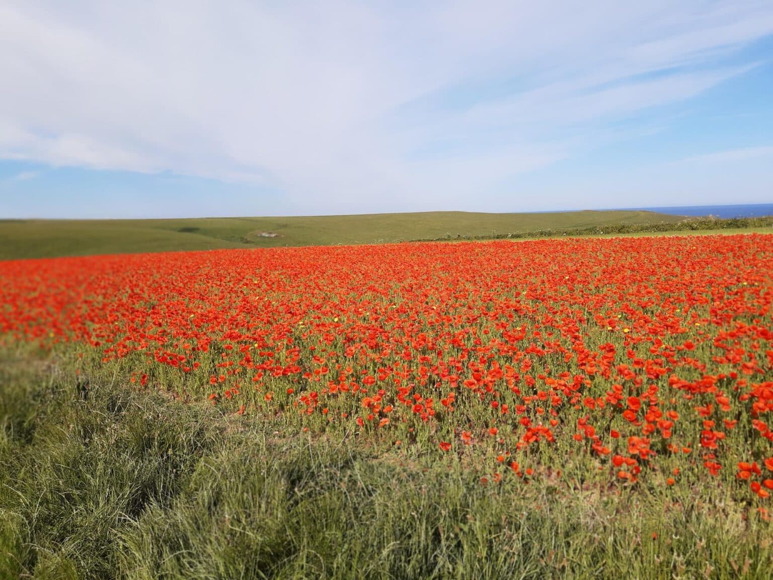 Top 5 Free things to do in Cornwall. - Hendra Holiday Park