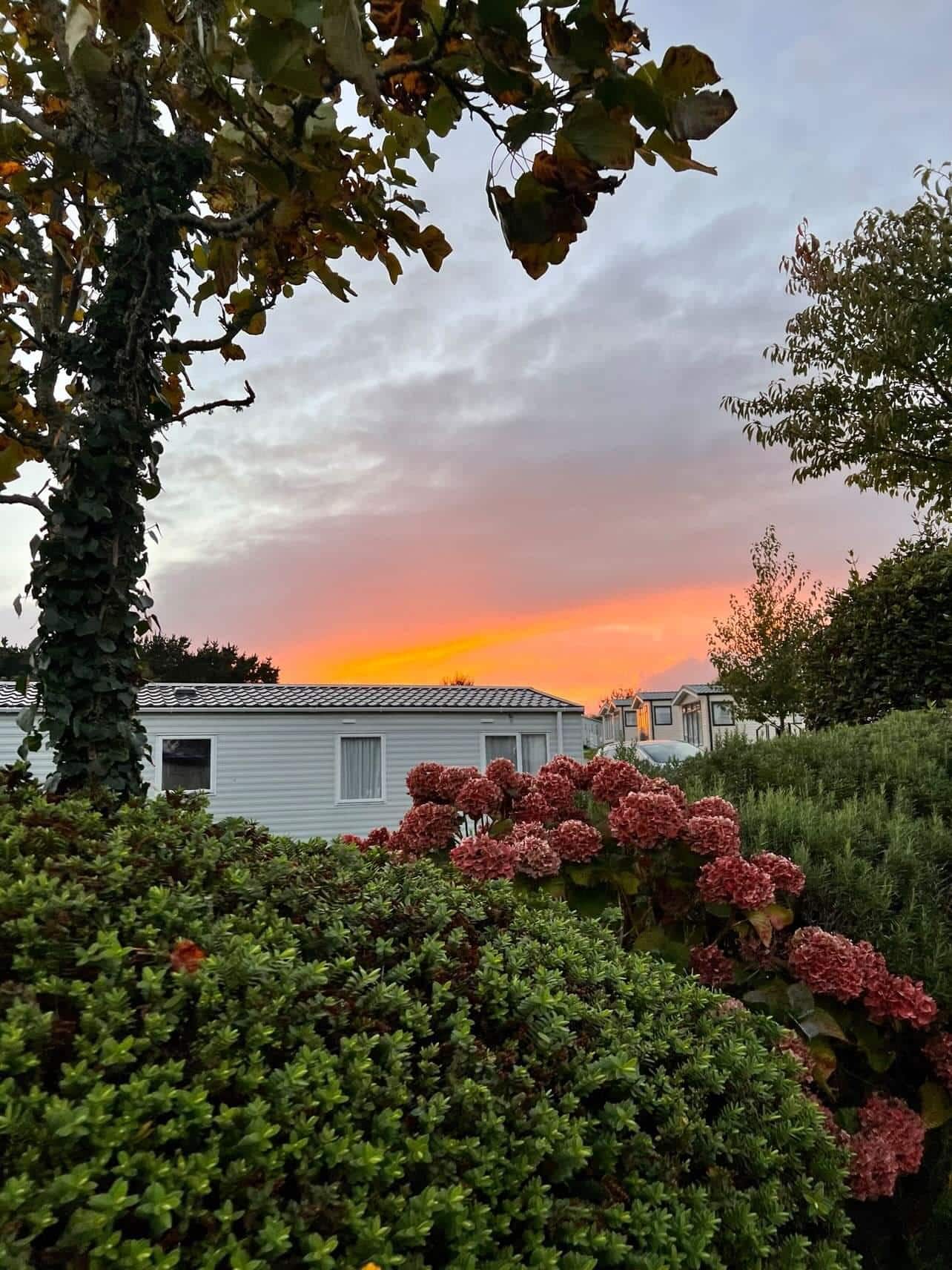 LOCALS OFFER! 50% off! Valid for a limited time only! - Hendra Holiday Park