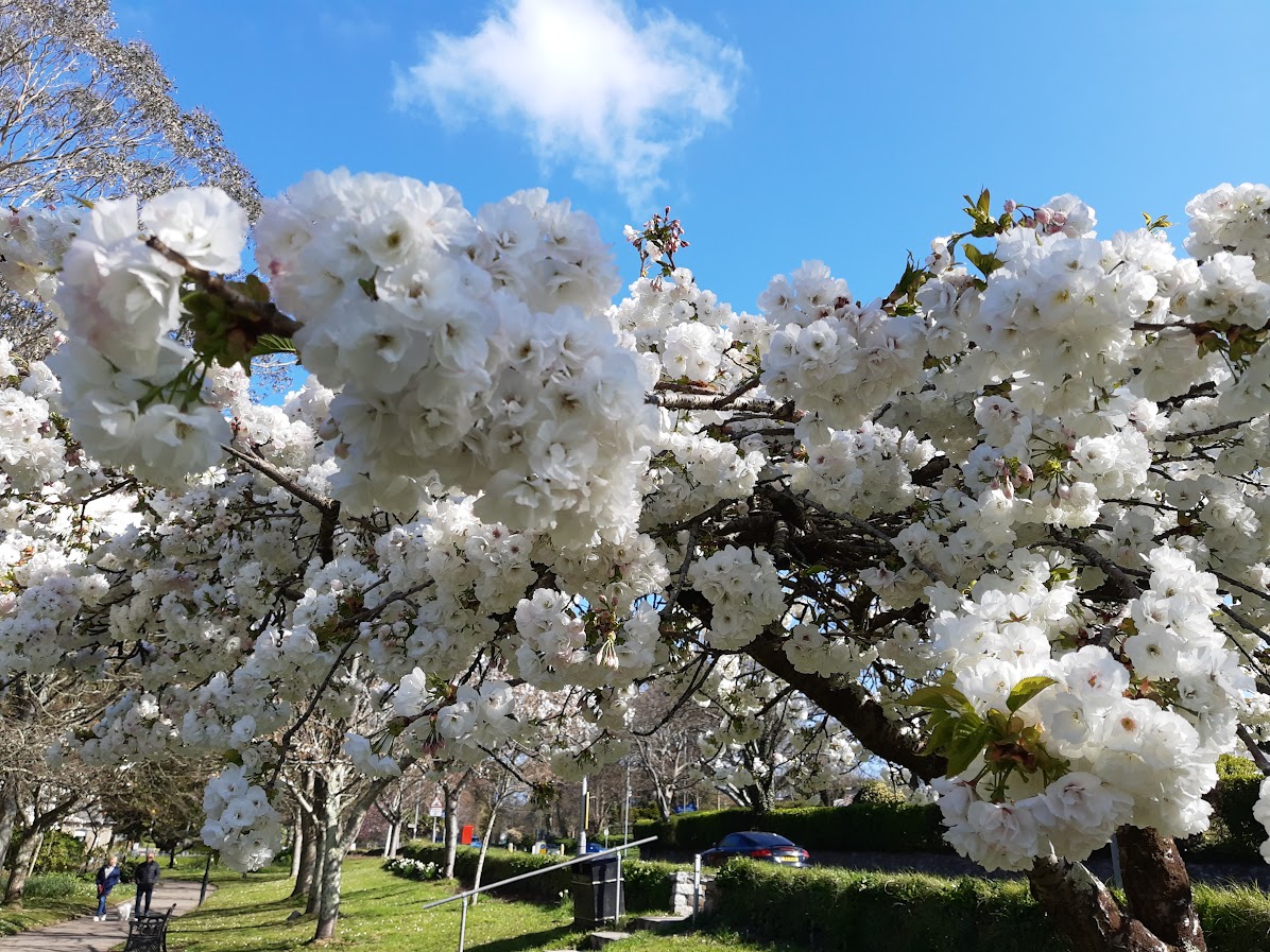 Things to do this spring on your caravan holiday in Cornwall. - Hendra ...