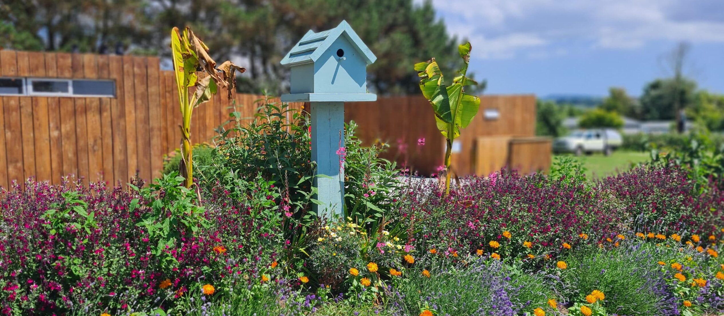 Sustainable Holidays - Hendra Holiday Park