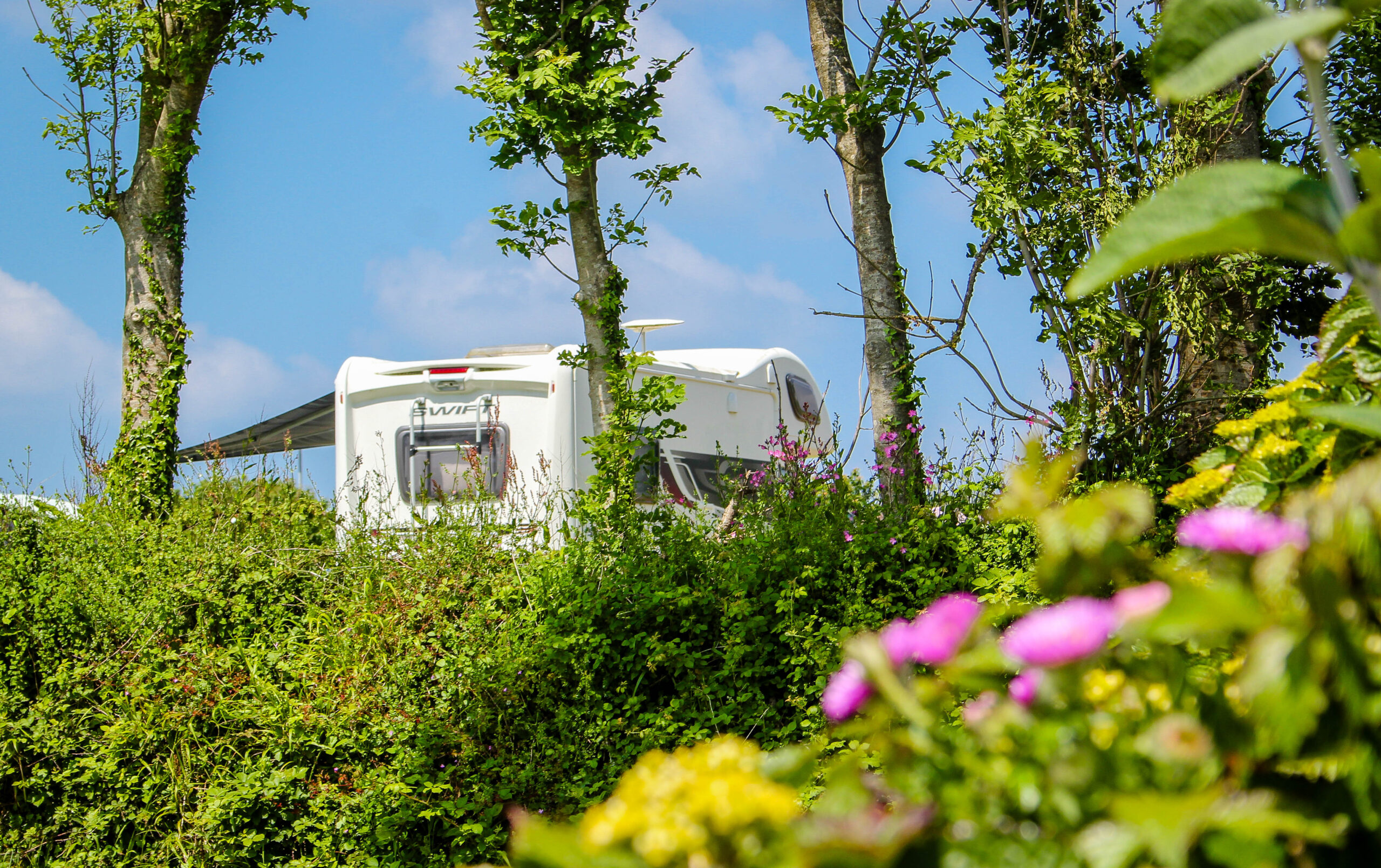 Camping In Cornwall | Cornwall Touring Site | Hendra