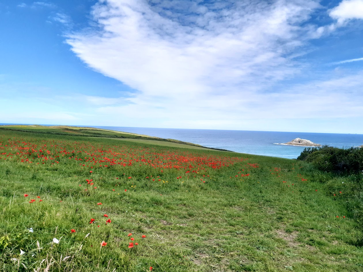 Spring in Cornwall - Hendra Holiday Park